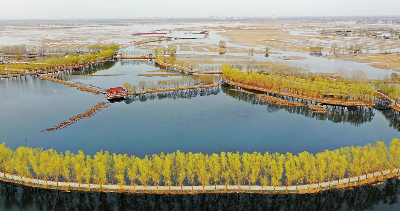 A Walk Along the Baiyangdian Lake - Peace & Planet News
