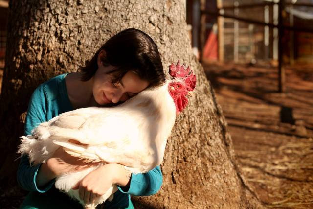 Nine Things You Didn't Know About Chickens - Peace & Planet News