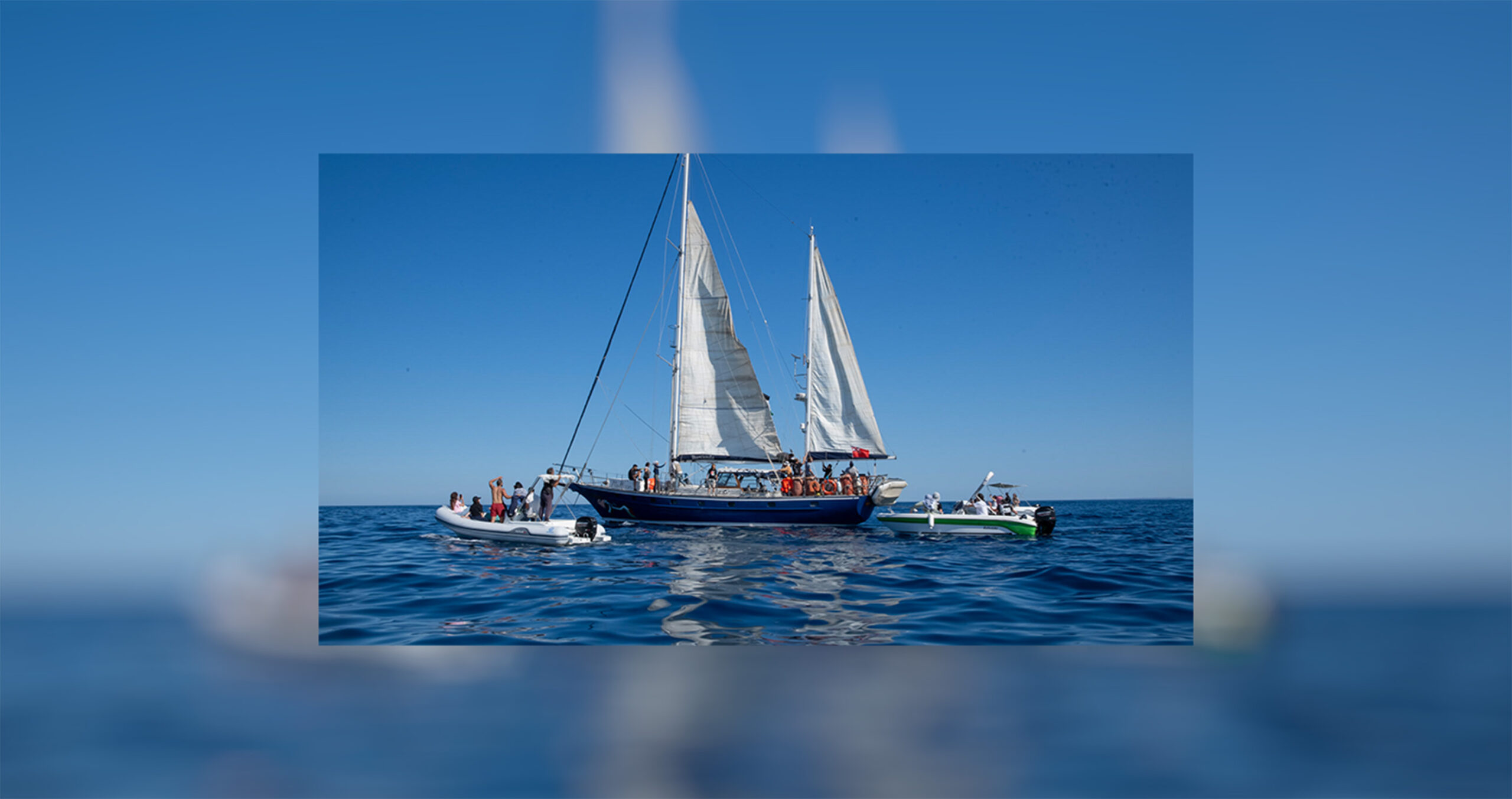 Gaza Freedom Flotilla Coalition Joins the Increase of 2026 Flotilla ...